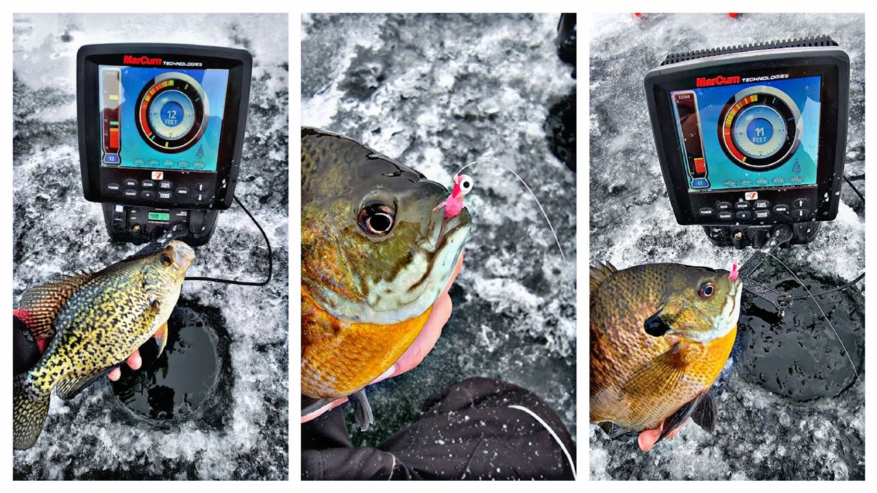 Minnesota First Ice Panfish Success!! - YouTube