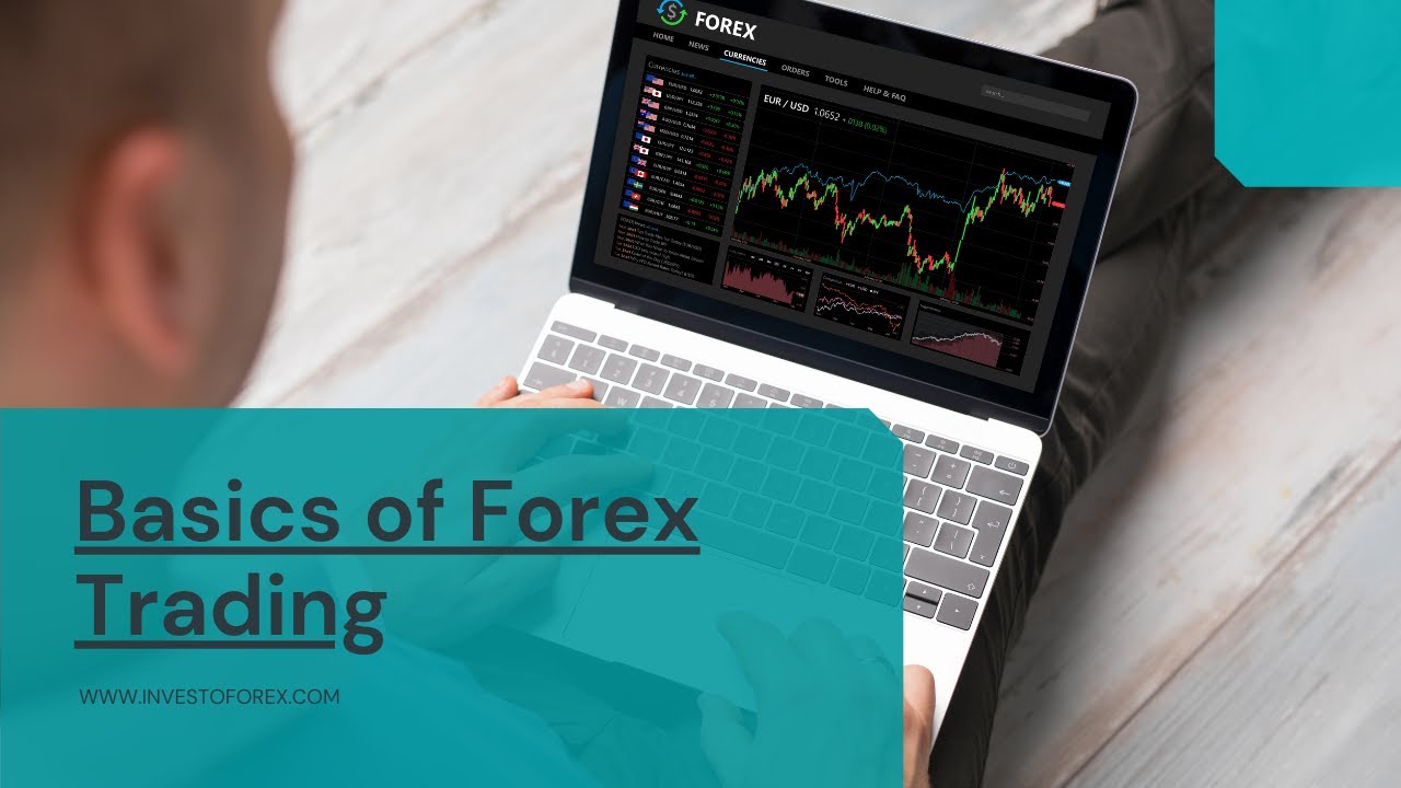 Basics of Forex Trading - Beginners must watch - YouTube