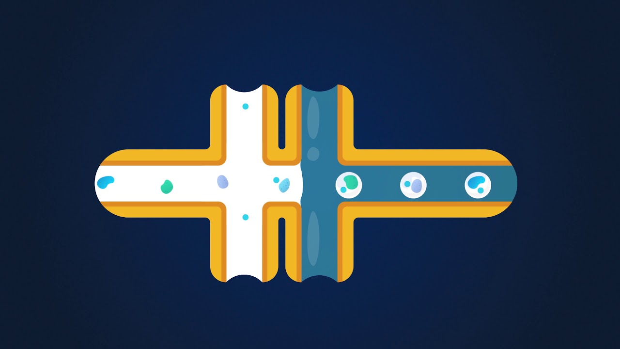 Genetic Animated Marketing Video Animation for Illumina Inc. - YouTube