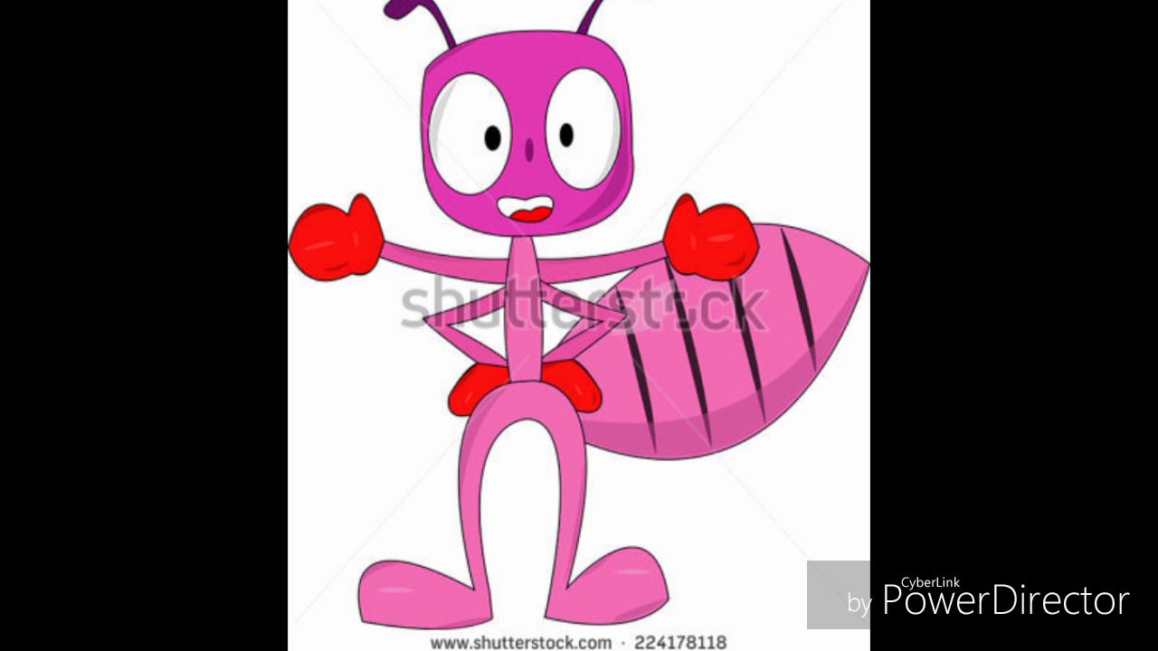 Pink ant shot intro hope you enjoyed 🤗😎 - YouTube
