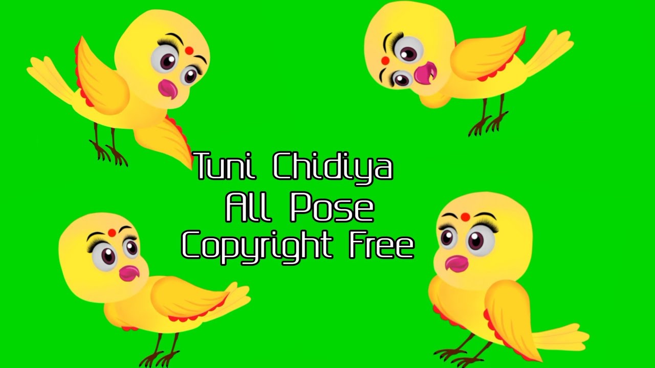 Tuni chidiya character||No copyright free use||Tuni chiya All pose ...