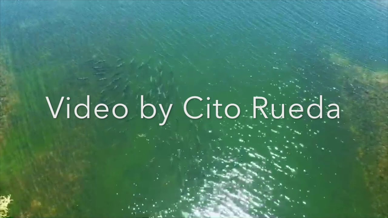 Lake Roberts video - YouTube