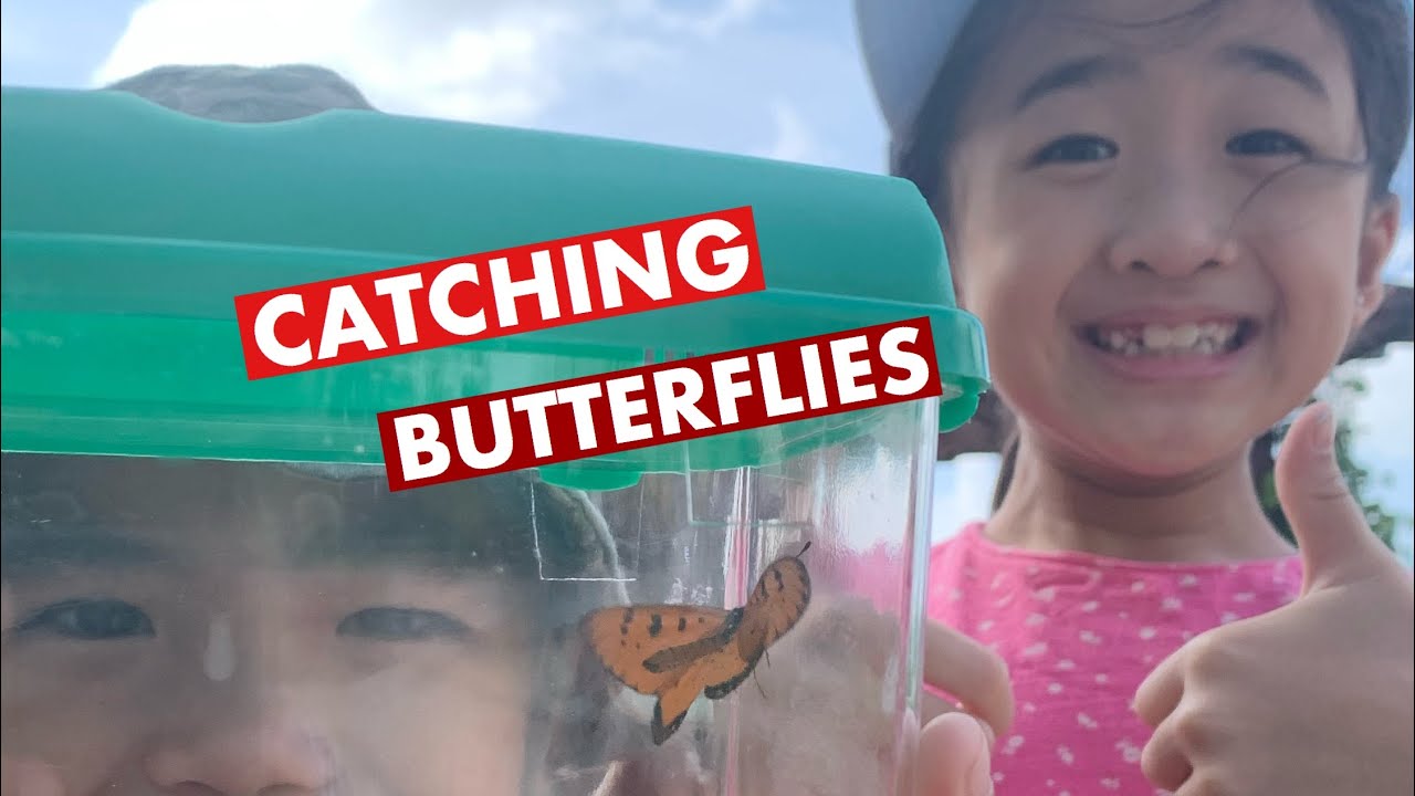 Catching Butterflies - YouTube