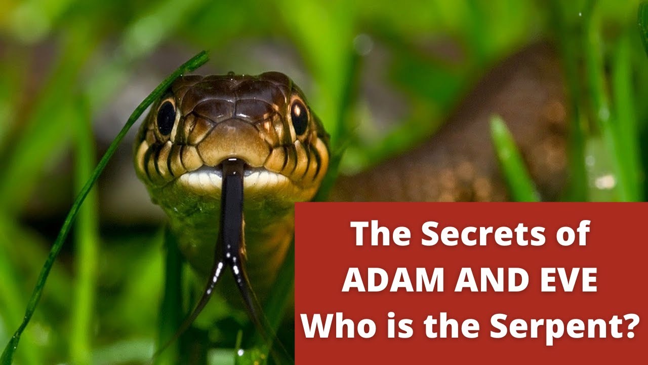 The Secrets of Adam and Eve | Who Is the Serpent? | The Godly Life ...