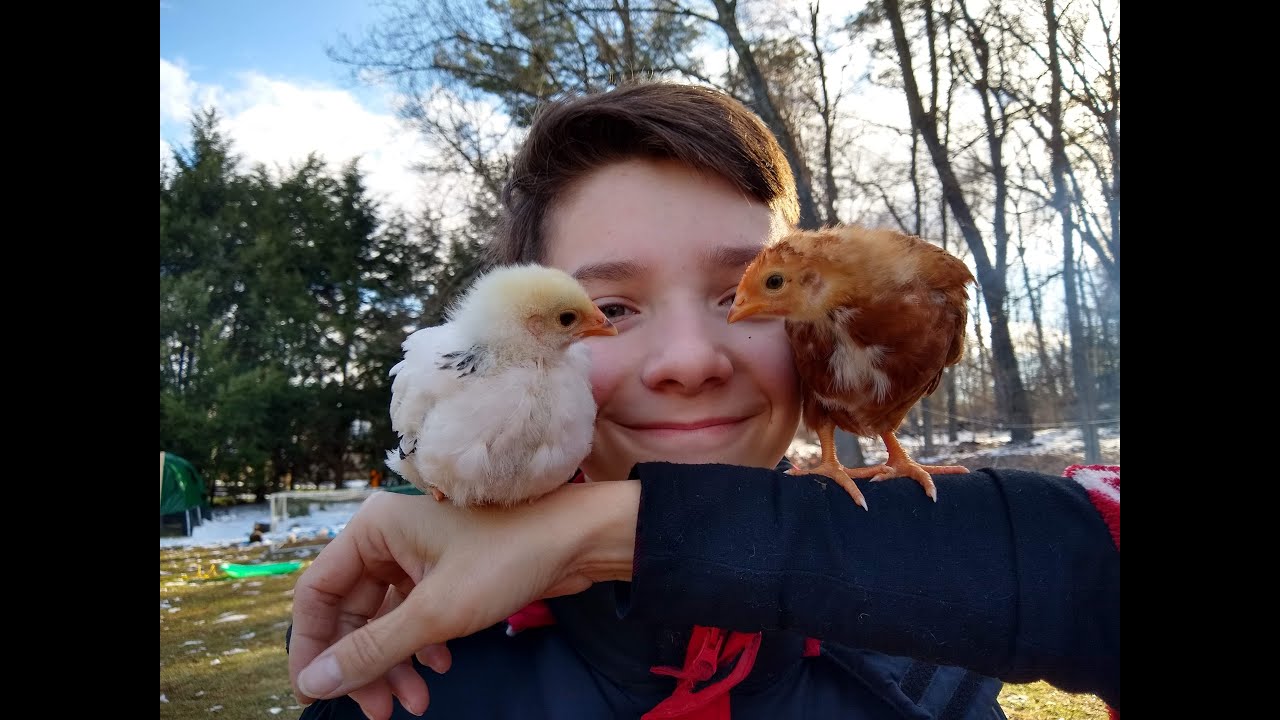 It's time for a little fun! - YouTube