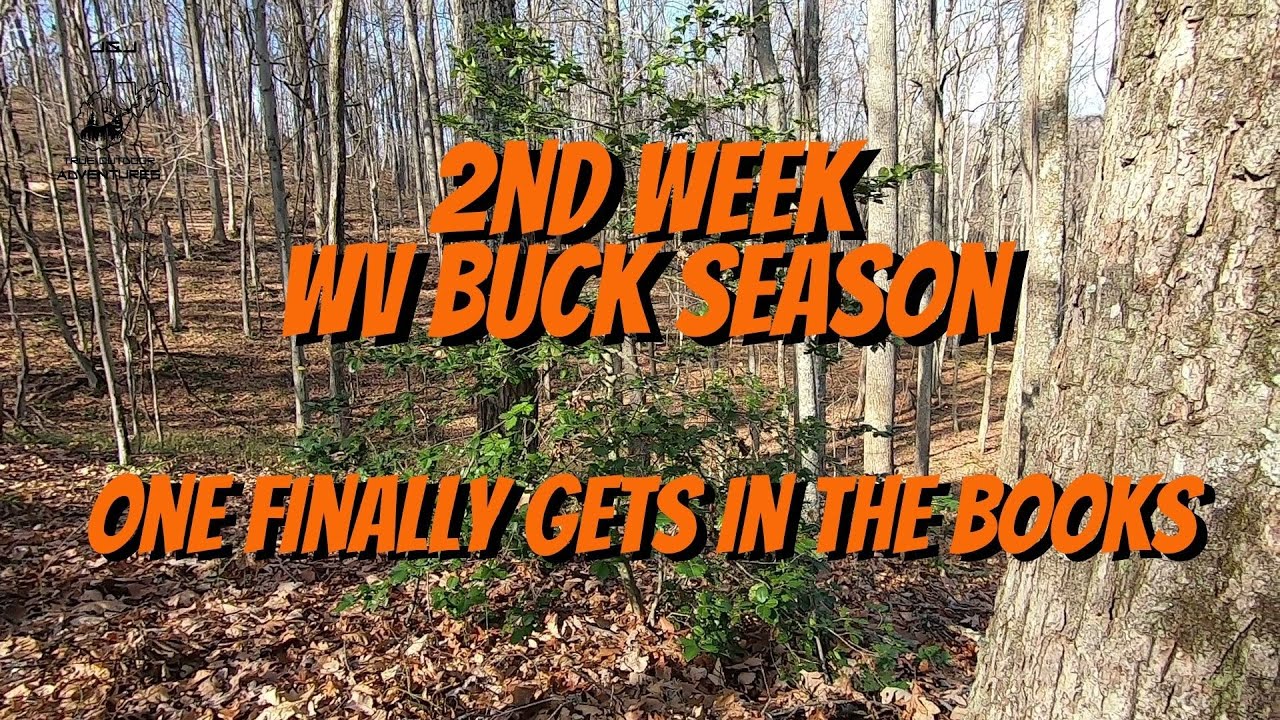 2nd Week - 2021 WV Buck Season - YouTube