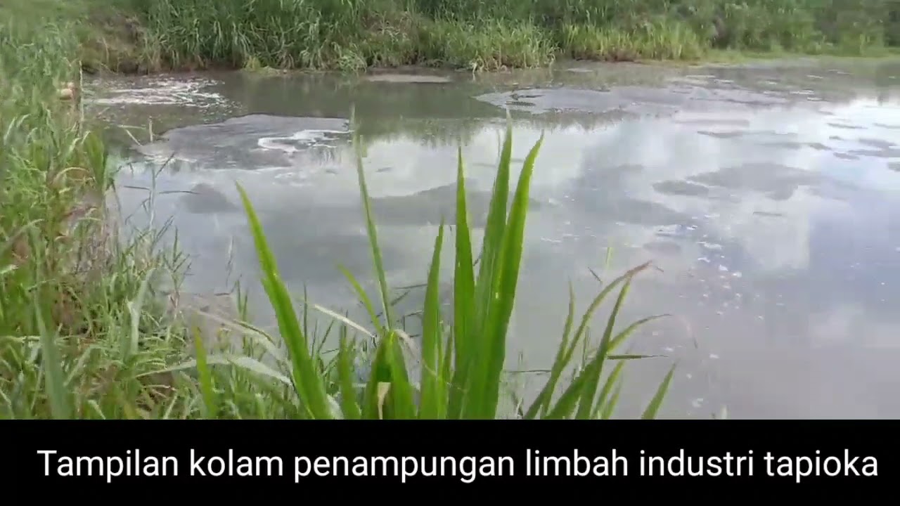 Pengolahan limbah industri tapioka - YouTube