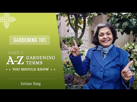 Gardening 101 | A-Z Gardening Terms You Should Know - Part 1 | शब्द जो ...