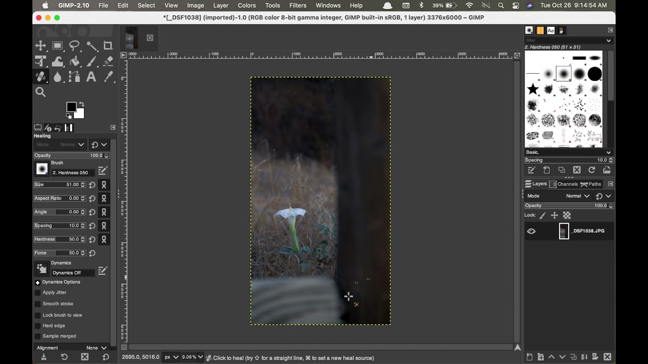 Flower Example GIMP Editing - YouTube