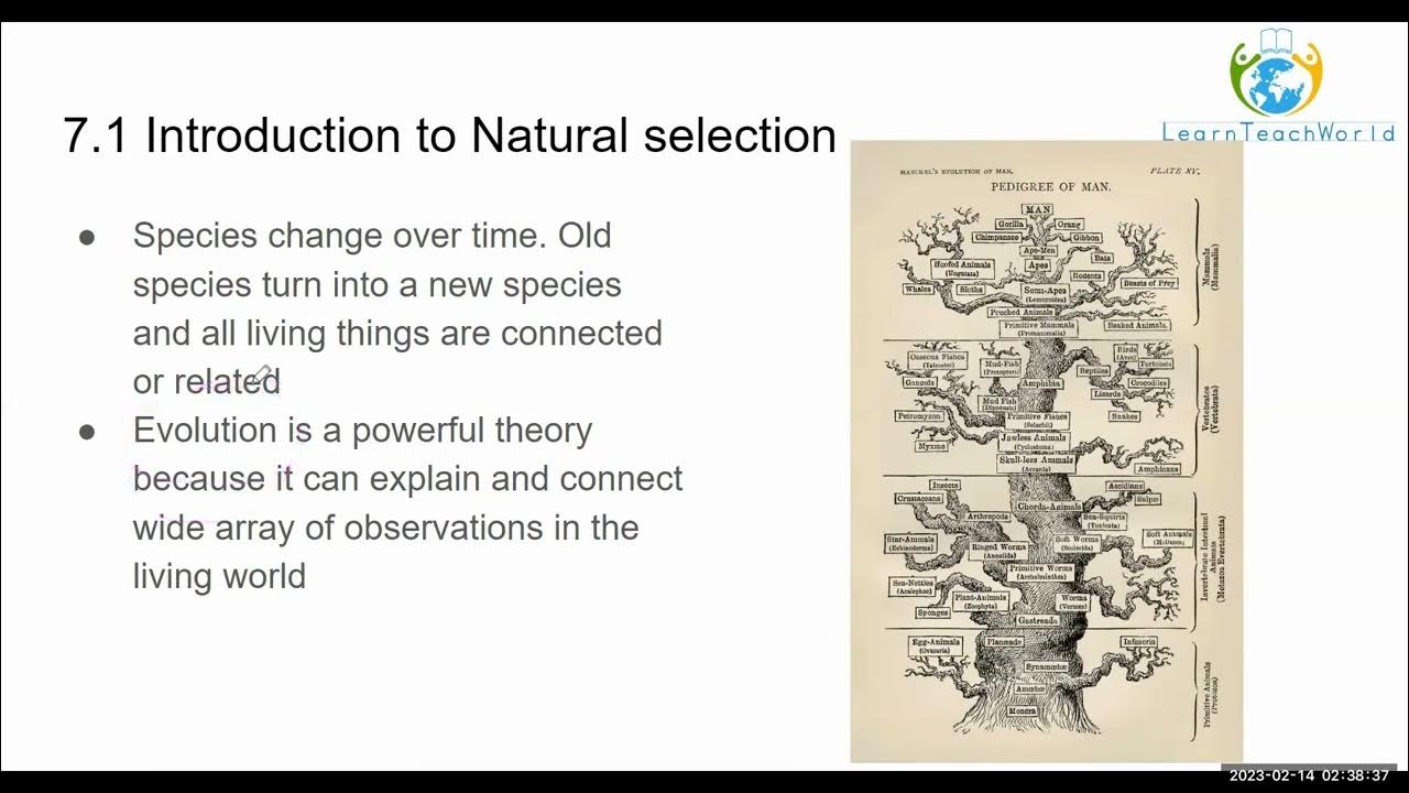 Biology | Introduction to Natural Selection | LearnTeachWorld - YouTube