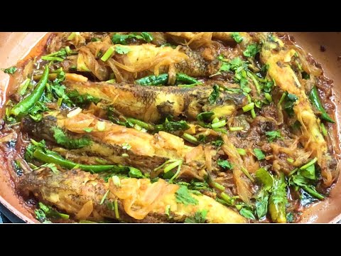 Baila Fish Curry /বাইলা মাছের দোপিয়াজা / Sand Goby Fish - YouTube