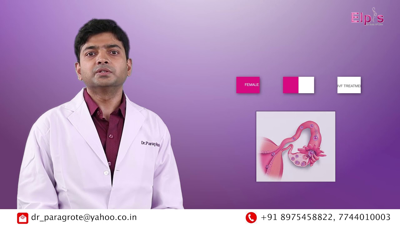 When to go for IVF? Dr. Parag Rote - Infertility Specialist | Elpis IVF ...