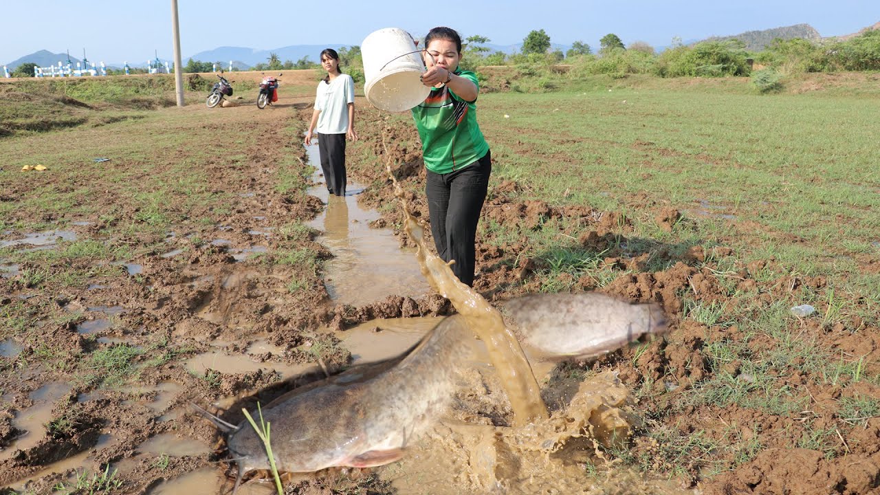 Finding fish in the fields - YouTube