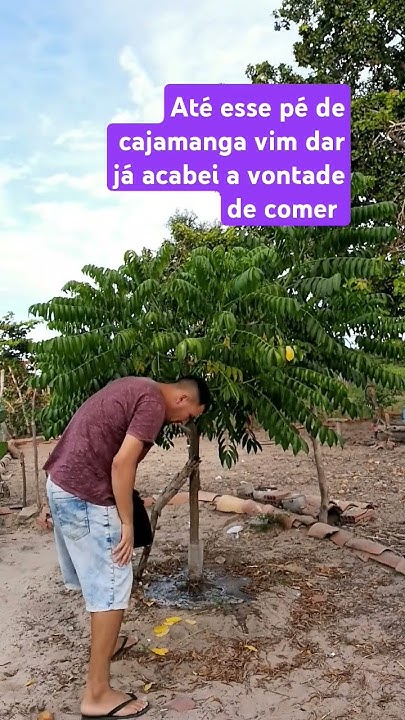 Vai Demorar Youtube