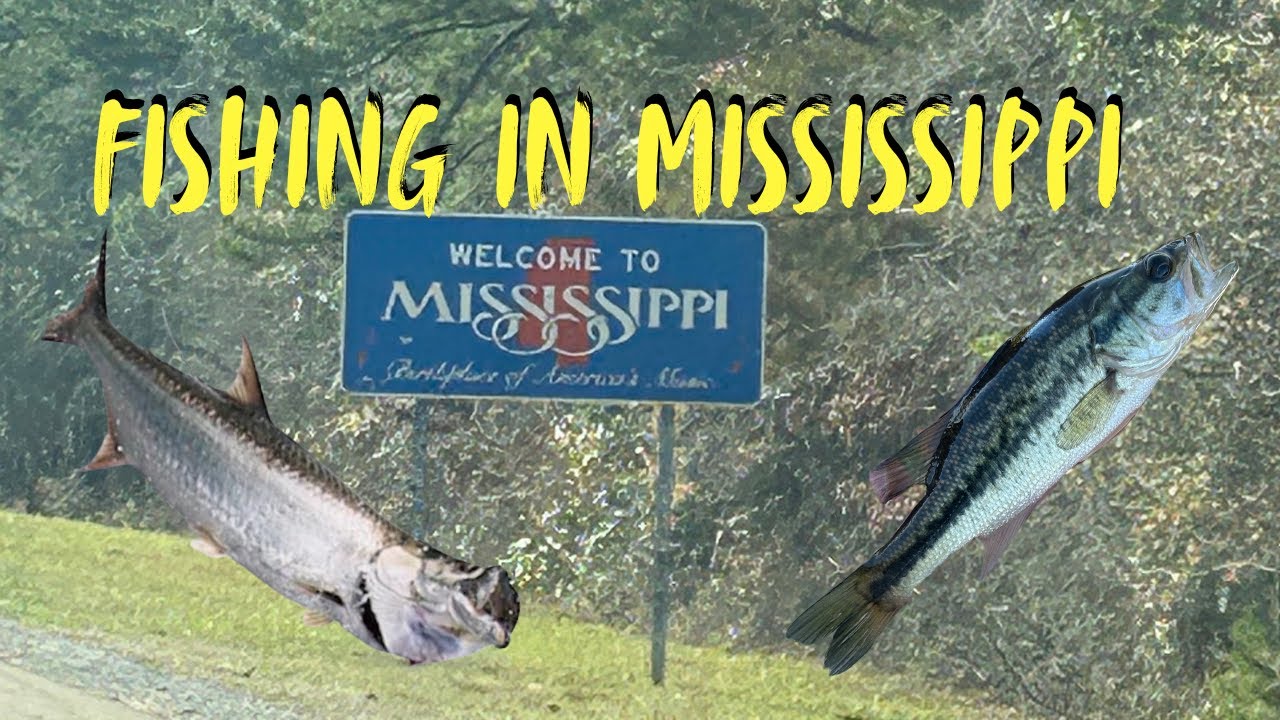 Catching a Fish in Every State- MISSISSIPPI - YouTube