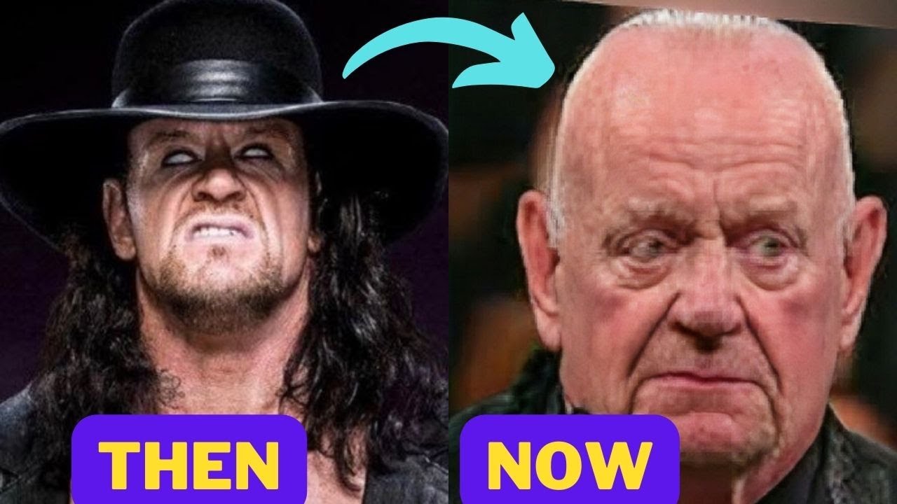 WWE Wrestlers Shocking Transformation || Then and Now - YouTube