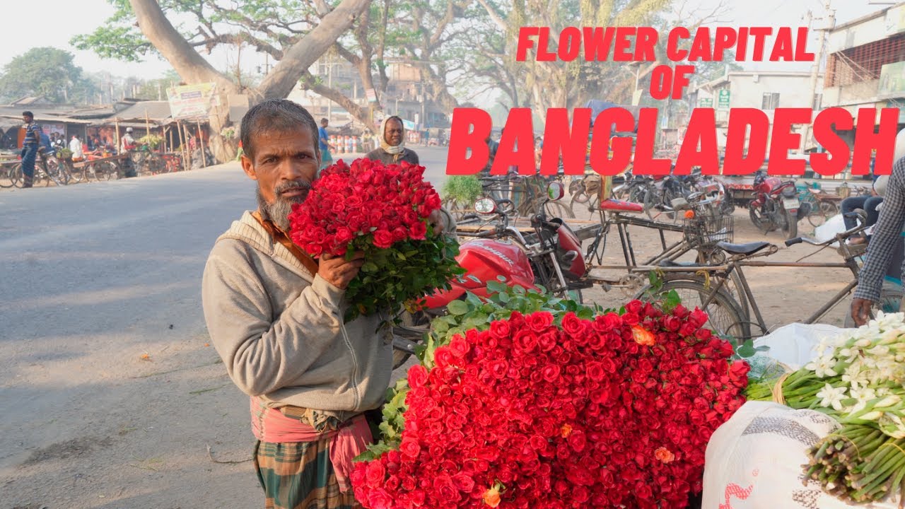 Godkhali Flower Capital of Bangladesh | Godkhali Flower Garden Travel ...