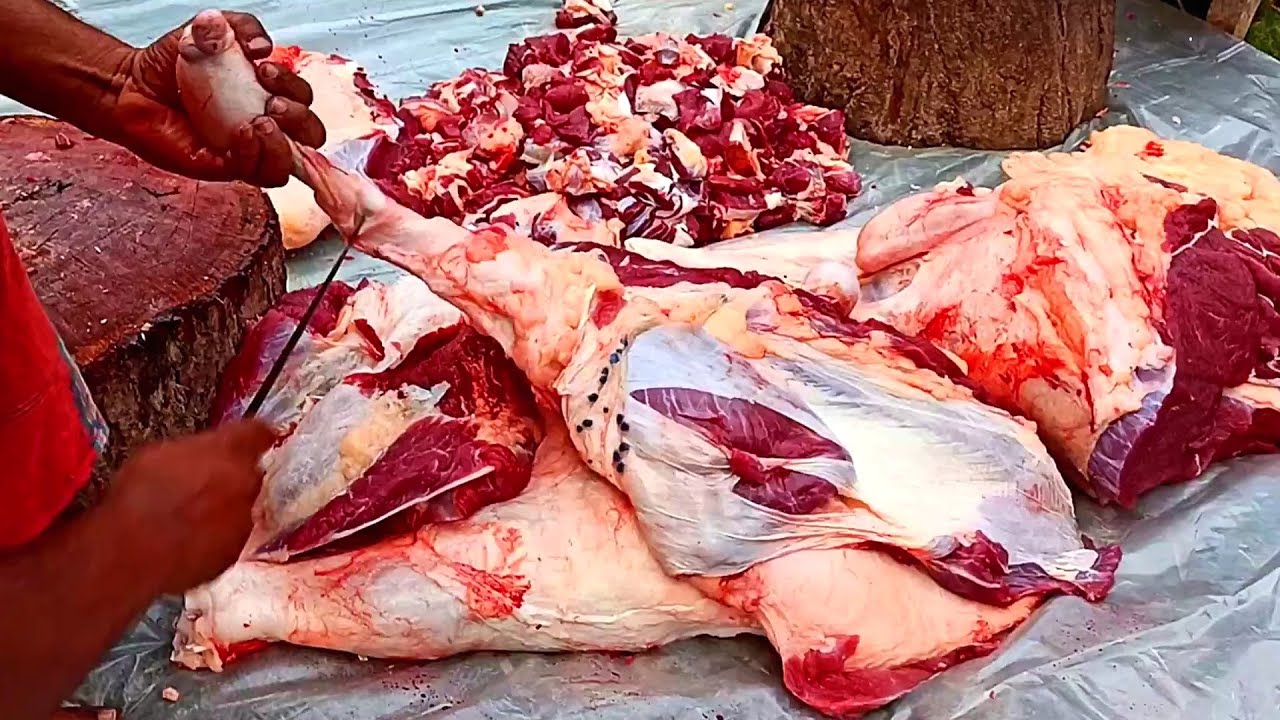 Amazing Original Full Cow Leg Cutting Video 🥩 Excellent Beef Cutting ...