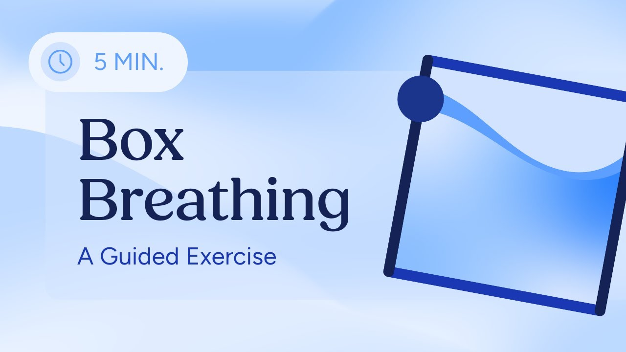Box Breathing | 5 Minutes | Guided Breathing for Calm & Focus - YouTube