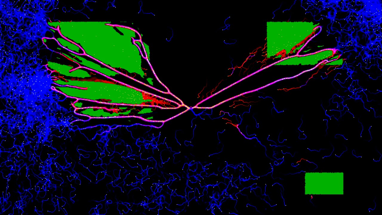 Ant Colony Simulation, 5000 Ants finding food from mixed sized piles ...