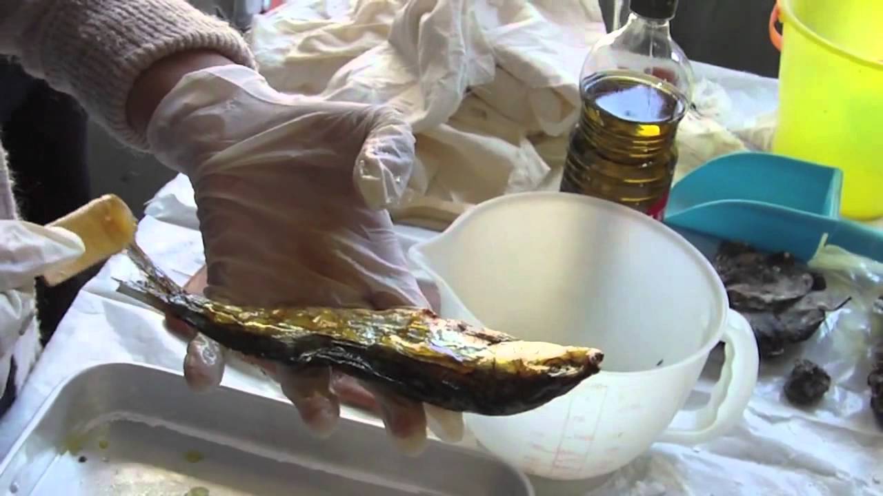 How to mummify a fish? Hoe mummificeer je een vis? - YouTube