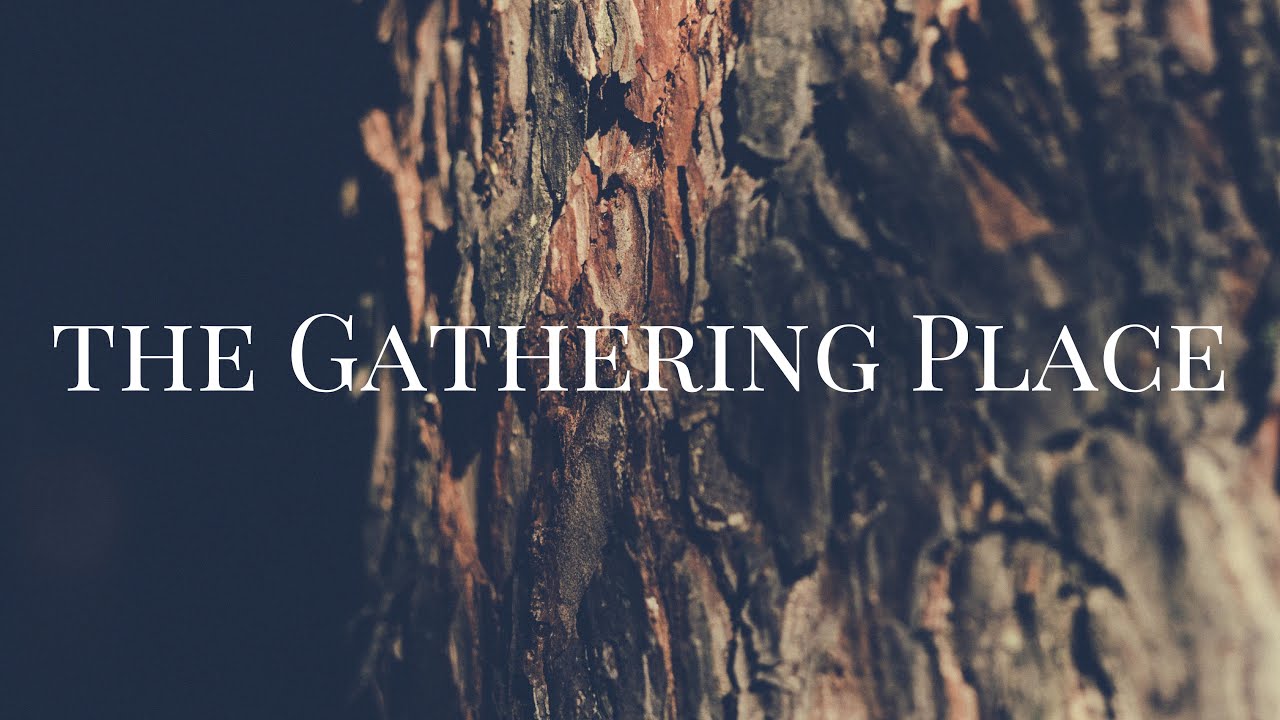 S1E2 (Excerpt): Lee Gutteridge - YouTube