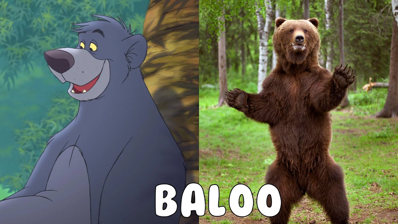 The Jungle Book 2 Characters in Real Life - YouTube