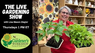 Live Gardening Show: All About Snapdragons!