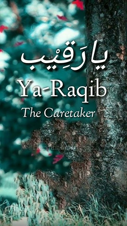 Ya Raqib || @hunainahmed3332 - YouTube