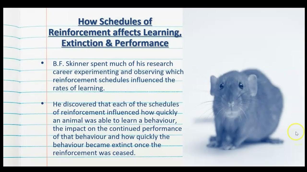 Schedules of Reinforcement in Operant Conditioning - The Psychology of ...