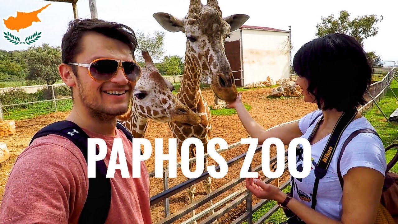 Paphos Zoo - YouTube