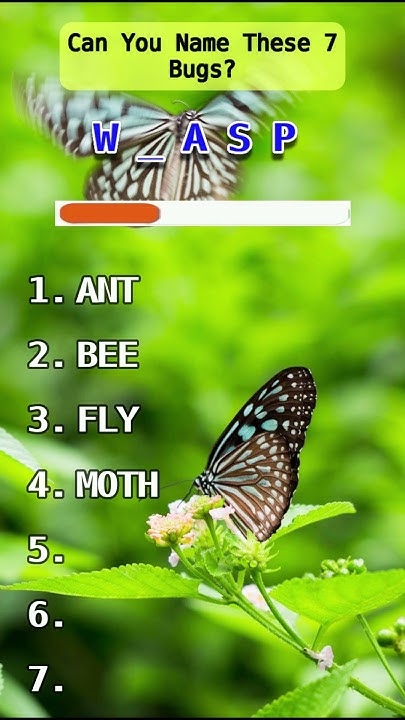 Can You Name These 7 Bugs? - YouTube