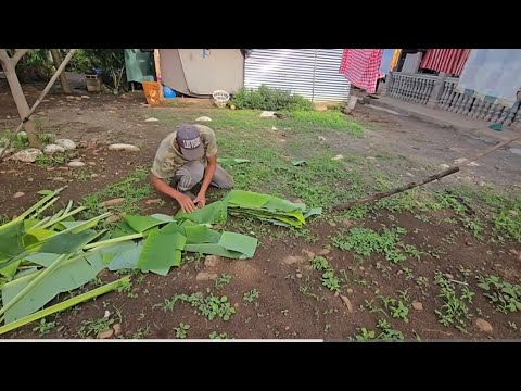 Complaciendo al canecho en su deseo 🥰🥰 - YouTube