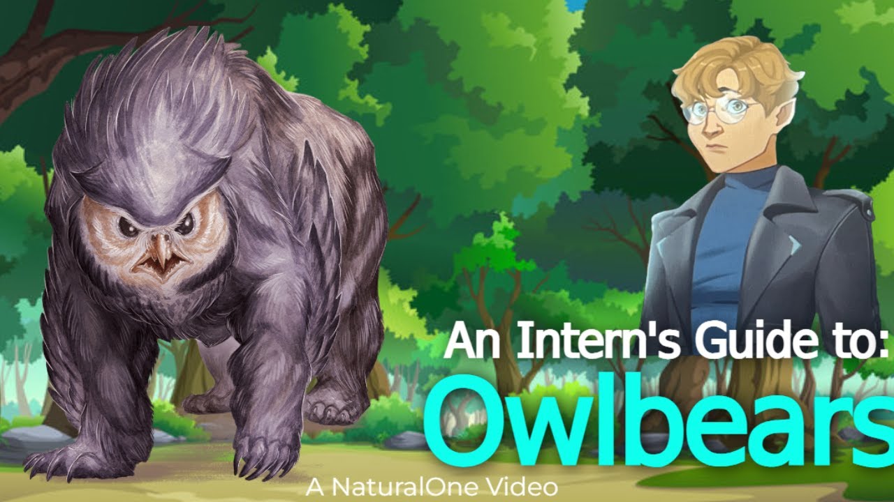 Intern's Guide to Faerûn | Episode 4: Owlbears - YouTube