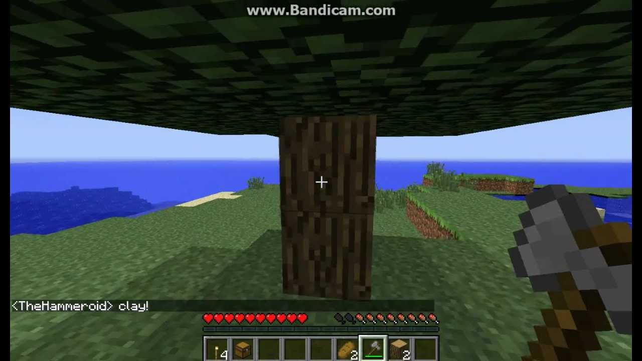 Me and the Hammeroid Minecraft Island Survival Day 1 - YouTube