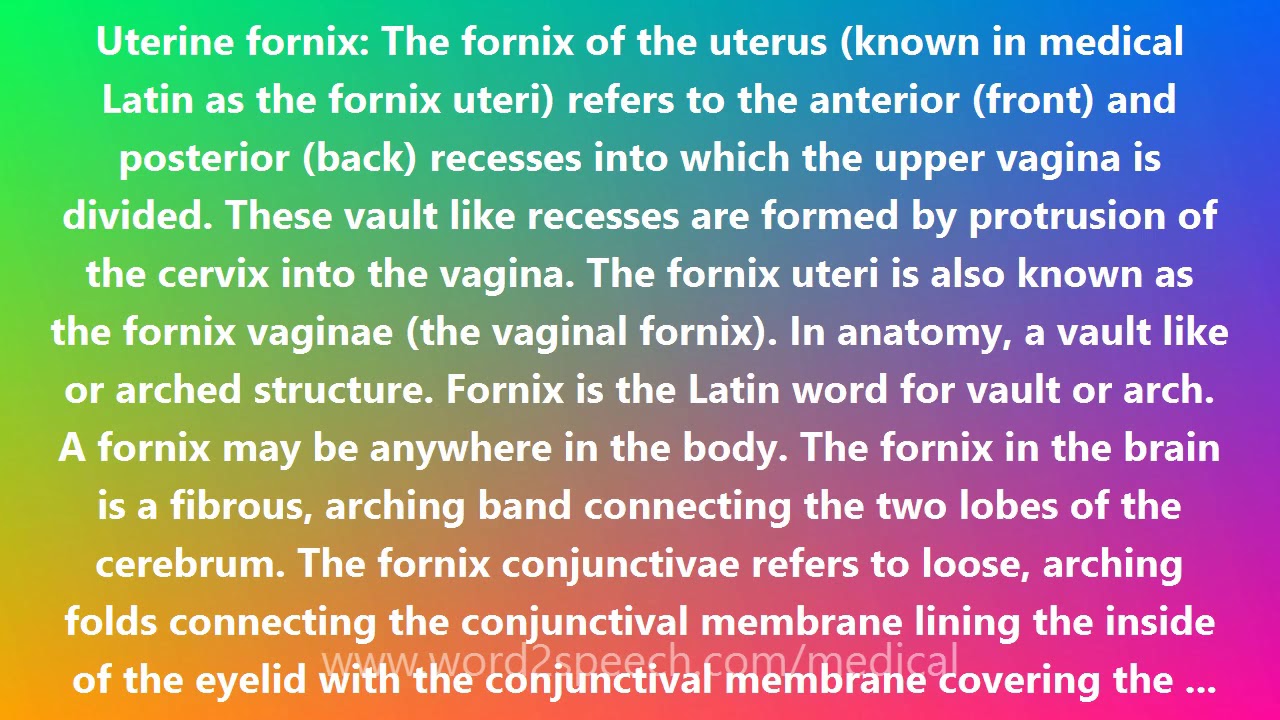 Uterine fornix - Medical Definition and Pronunciation - YouTube
