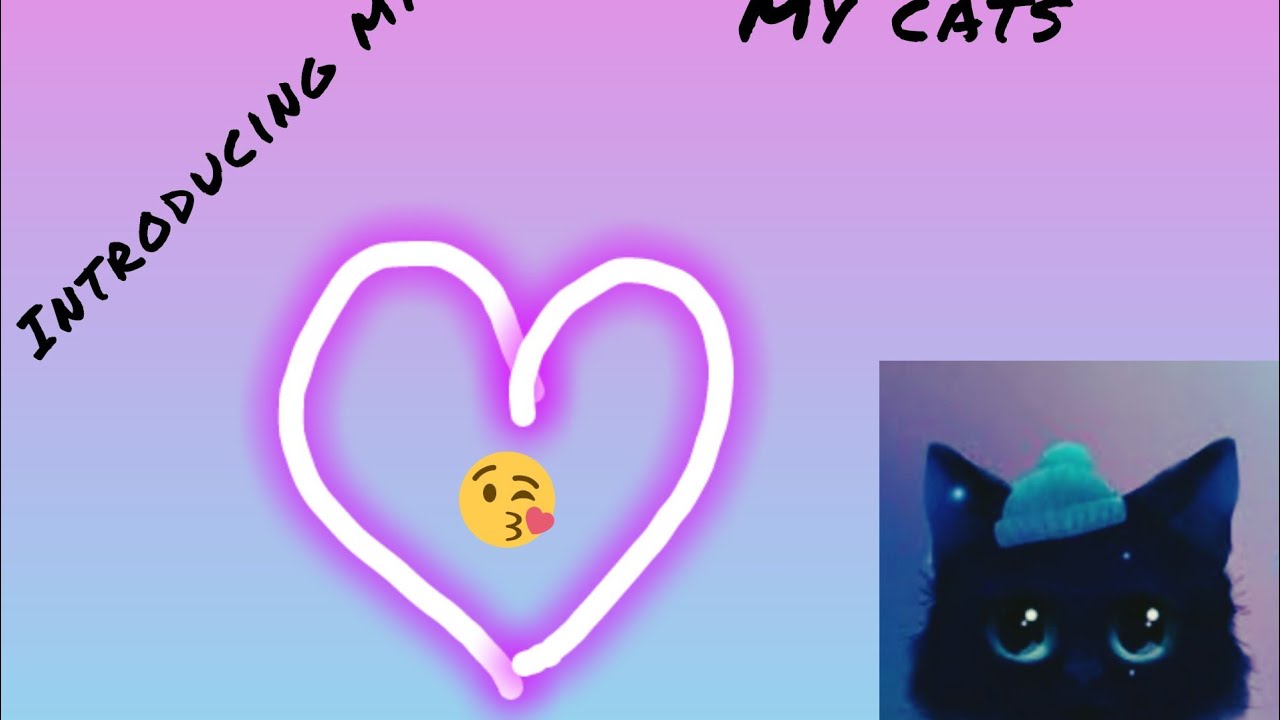 Introducing my cats 😺so fun a short video 📹 subscribeand like to hasu ...