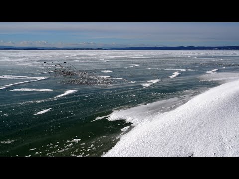 windy day in January - YouTube