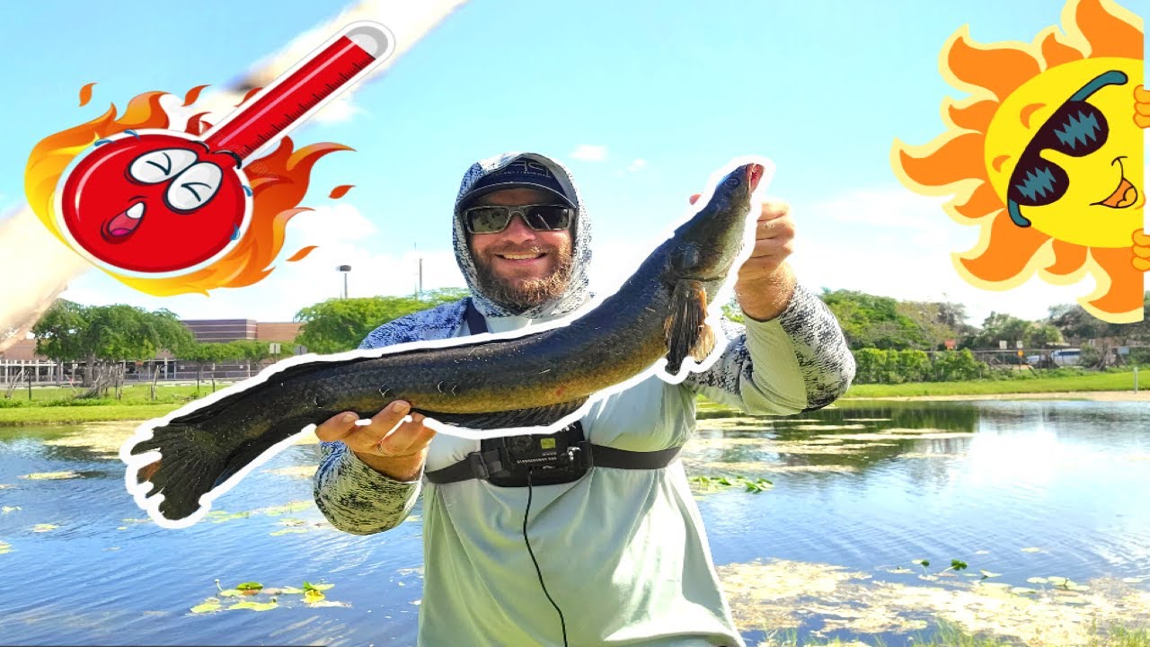 (TIPS AND TRICK) ON HOW TO CATCH HOT SUMMER TIME FISH!!!!! - YouTube