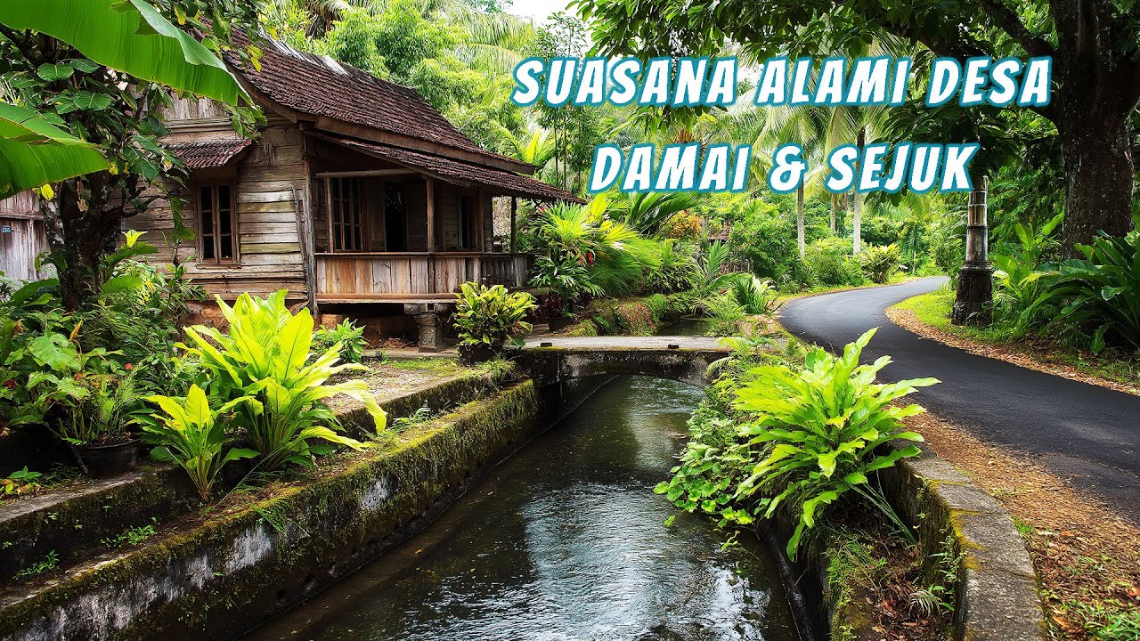 Suasana Alami Di Desa Damai & Sejuk - Suara Kicau Burung Liar & Aliran ...