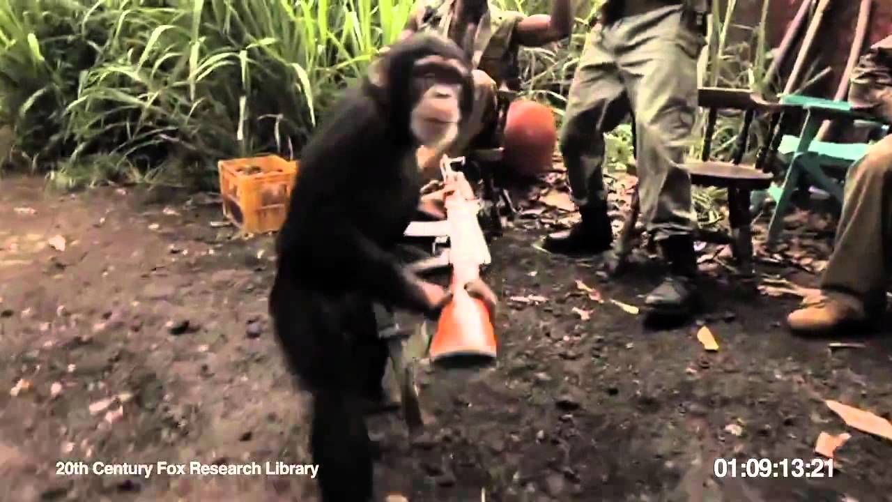 Monkey vs African Soldiers - YouTube