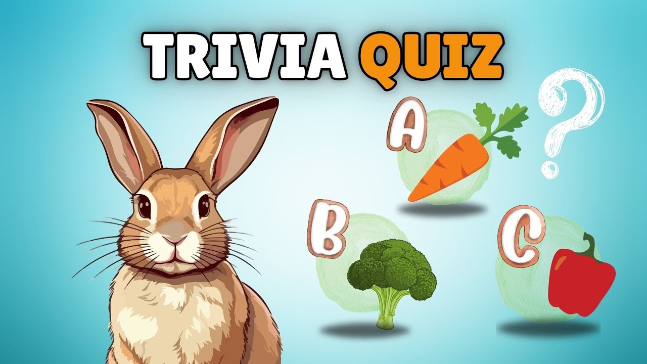 Fun Questions for Smart Kids! 🎉🧠 - YouTube