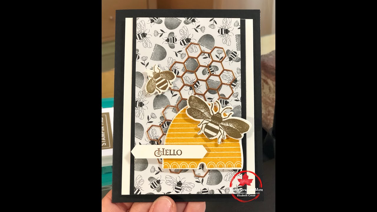 Honey Bee stamp set and Detailed Bee Dies, Card Tutorial - YouTube