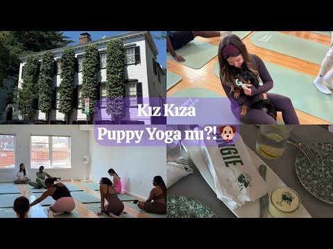 Amerika’da Kız Kıza Keyifli Bir Gün: Puppy Yoga🐶 Köpek Dudağımı Isırdı! 😱  + Brunch + Alışveriş 💫