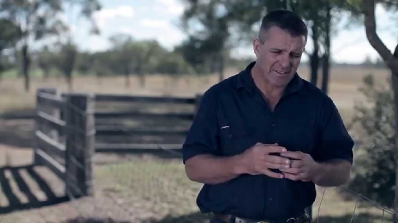 Playing it safe with Shane Webcke - long version - YouTube