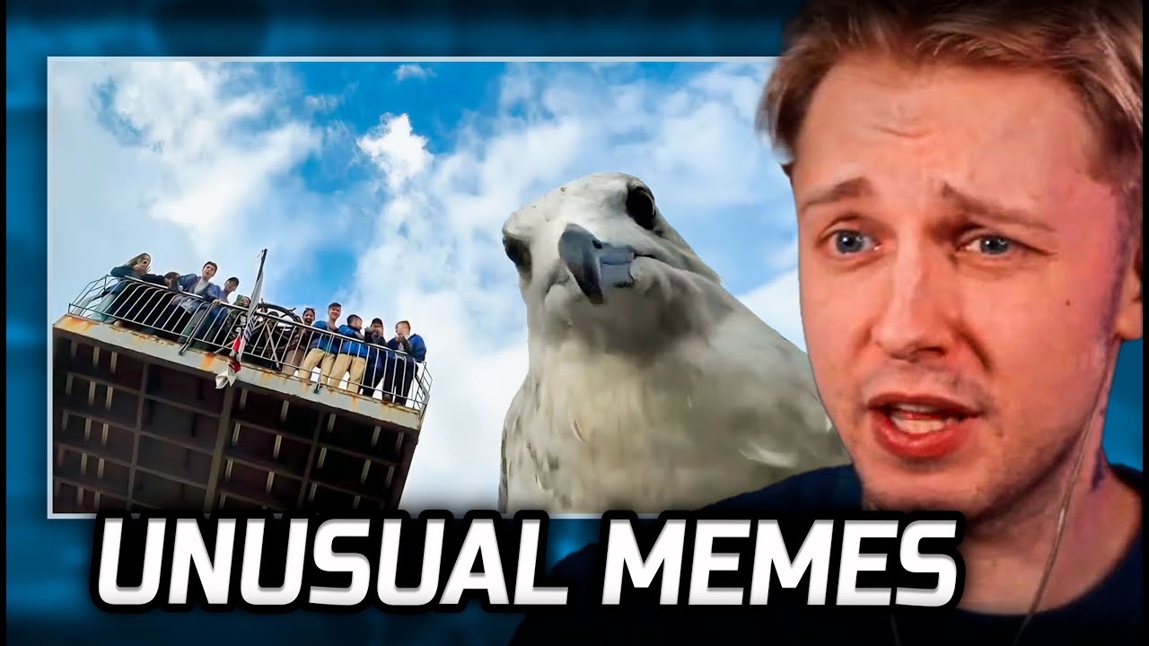 СТИНТ СМОТРИТ: UNUSUAL MEMES COMPILATION V291 - YouTube