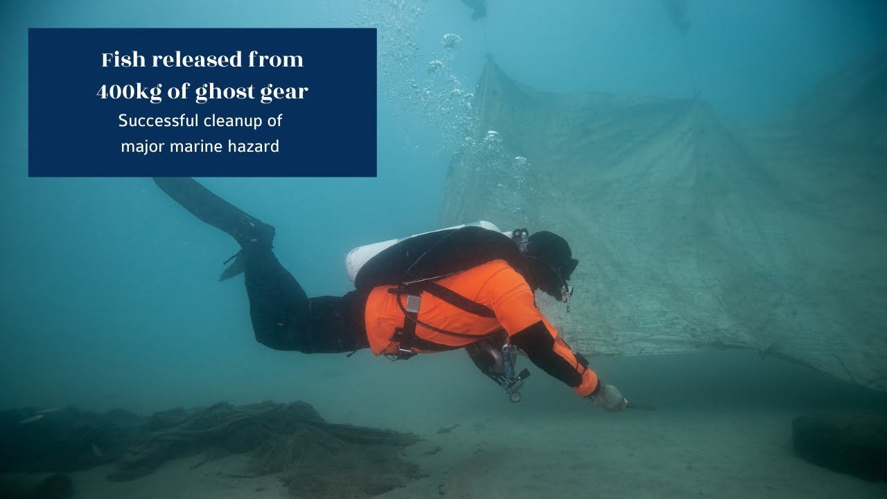 Entangled Fish Released and 400kg of Ghost Gear Removed - YouTube