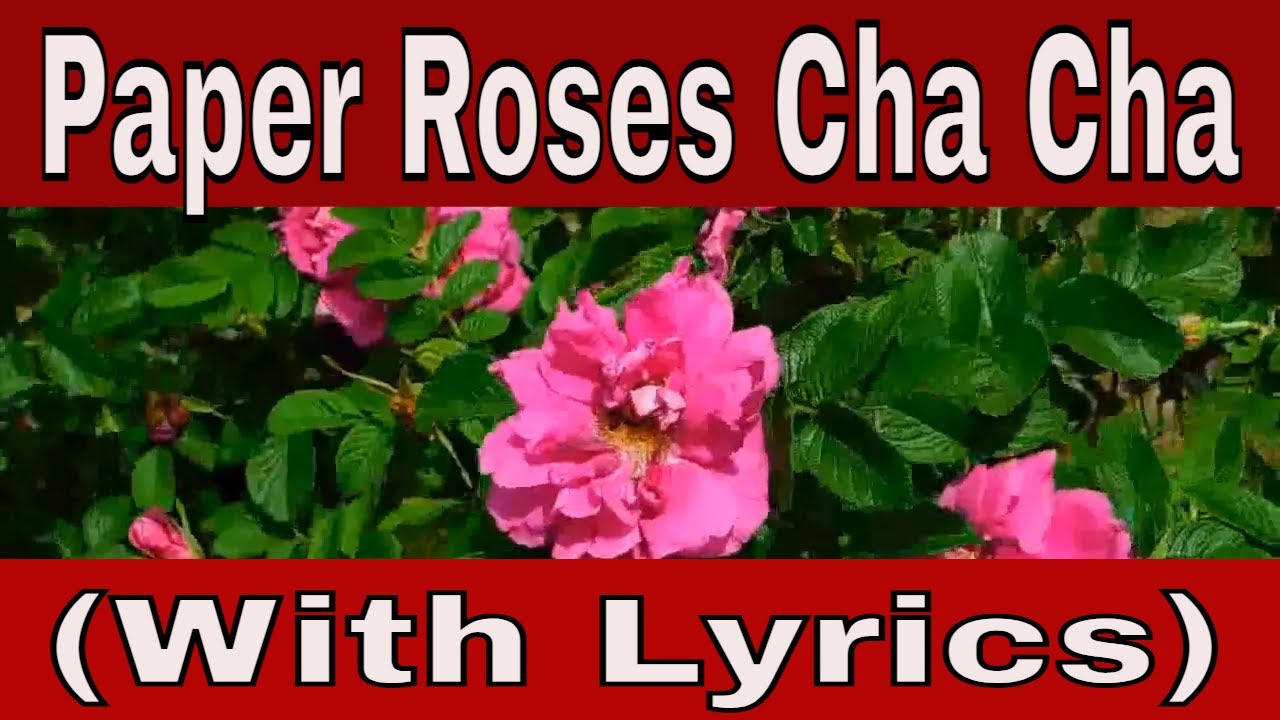 Paper Roses Cha Cha (Karaoke version with lyrics). Feel free to sing ...