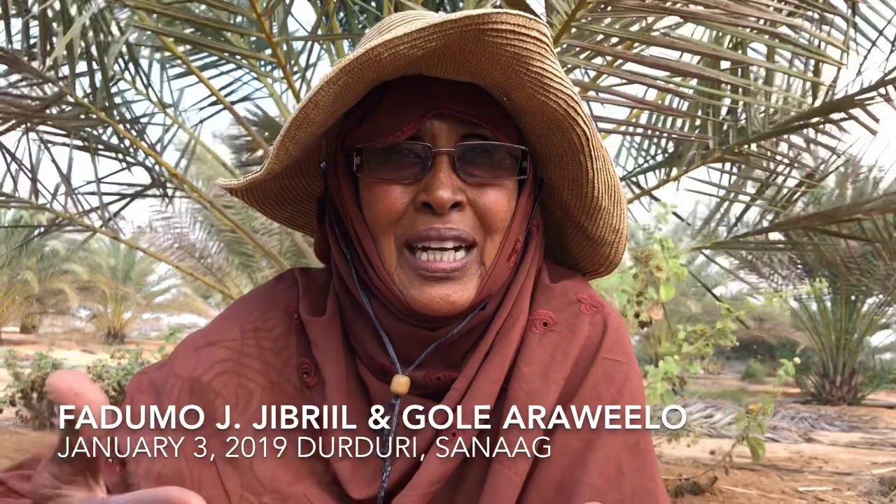 Fadlan ku caawi Marwo Fadumo Jibriil 1$ - Dahabshil Acounka Deegaanka ...