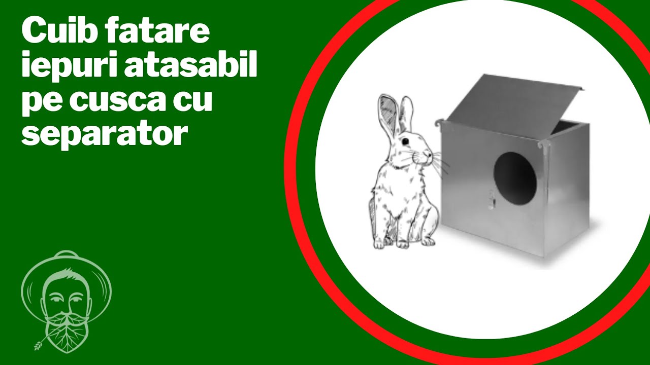 Cuib fatare iepuri atasabil pe cusca cu separator - YouTube